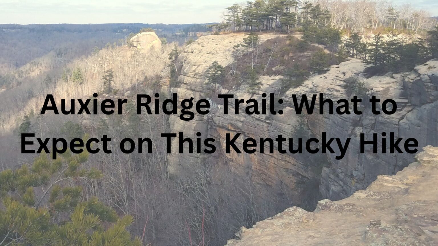 Auxier Ridge Trail: What to Expect on This Kentucky Hike - OhThePlacesWeSee