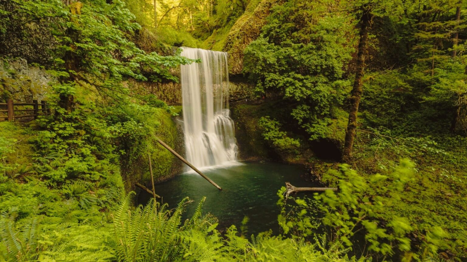 25 Best Hikes in Oregon: Trails for All Levels & Views - OhThePlacesWeSee